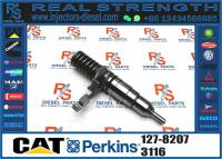 China 127-8213 127-8216 Injector 3114 3116 Engine Fuel Injector 127-8225 127-8222 101-8673 127-8207 127-8209 for sale