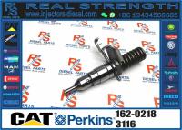 China Diesel Engine Pump Parts HEUI Diesel Fuel Injector 1620218 162-0218 for Excavator Engine 3114/3116/3126 for sale