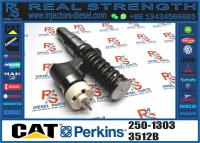 China Diesel Fuel Pump Common Rail Fuel Injector 250-1303 2501303 in Stock for sale