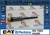 China For CAT Excavator Fuel Injector for C6.4 C6.6 C9 C13 Engine 8N-7005 2923751 242-6085 212-8559 245-7781 for sale