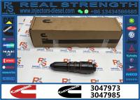 China Fuel Injector 3047973 3030445 NT855 Diesel Engine Parts for sale
