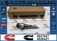 China 2897414 4327072 4821827 4928421 Fuel Injector for ISL9.5 ISC8.3 Diesel Engine for sale