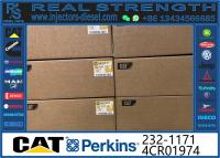 China Truck Engine Parts Fuel Injector Repair Kits 891828 for C3412E Injector 179-6020 174-7526 232-1171 for sale