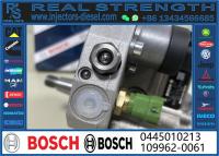 China Evergain High Pressure Common Rail Fuel Injection Pump 0445010213 WLAA13800 for Ford/Mazda for sale