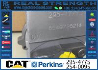 China FUEL PUMP C7 C9 319-0675 10R-8897 312-0678 254-4355 304-0675 10R-2981 295-4775 for sale