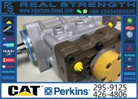 China Diesel Engine Fuel Injection Pump 295-9125 2959125 for for sale