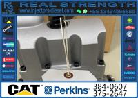 China Golden Vidar High Quality Fuel Injection Pump 384-0607 3840607 20R-1649 20R1649 for for sale