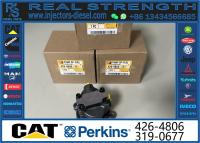 China Fuel Pump 2930249 4264806 47957315 293-0249 426-4806 10R-7671 for for sale