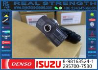 China Common Rail Injector 8981635241 295050-0971 8-98163524-1 8981635241 for sale