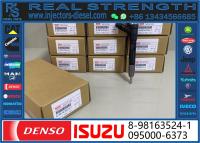China Common Rail Injector 8981635241 295050-0971 8-98163524-1 8981635241 for sale