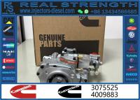 China NT855 NTA855 N4 Diesel Engine Fuel Injection PT Pump 3015253 3075525 3037216 for sale