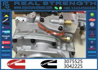China NT855 NTA855 N4 Diesel Engine Fuel Injection PT Pump 3015253 3075525 3037216 for sale