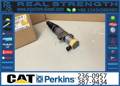 China Excavator Accessories Fuel Injector 225-0117 236-0957 238-8092 240-8063 242-0857 245-3516 for C9 Construction Machinery 6 for sale