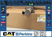 China Excavator Accessories Fuel Injector 225-0117 236-0957 238-8092 240-8063 242-0857 245-3516 for C9 Construction Machinery 6 for sale