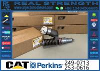 China Truck Engine Parts Common Rail Diesel Fuel Injector 249-0713 10R-3262 2490713 10R3262 for C11 C13 for sale