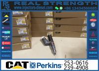 China 291-5911 10R-7230 253-0616 10R-3265 276-8307 10R-7231 Diesel Engine Fuel Injector For Excavator C18 for sale