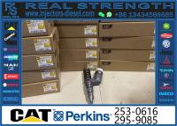 China New Diesel Fuel Injector 253-0616 2530616 10R-3265 10R3265 for C15 C18 Engine for sale