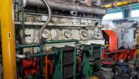 China China Oil Refinery  60MW  Natural Gas / Flare Gas Fired Power Plants for sale