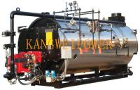 China Industry  Biomass Coal Thermal Oil Heater Gas Boiler Circulating Fluidized Bed for sale