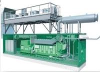 China 400V / 11KV / 23KV / 33KV Containerized HFO fired Power Plants for sale