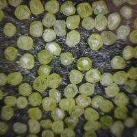 China Industrial Synthetic Diamond Micron Dust Diamond Powder with 30-Day Refund Policy for sale