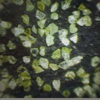China Initial Payment Diamond Micron Powder for Grinding Paste Production in White for sale