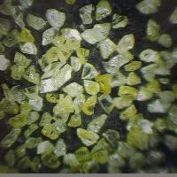 China US Diamond Powder for Polishing Mold Die and Drawing Tc Die Estimated Delivery Time for sale
