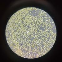 China US Diamond Powder for Polishing Mold Die and Drawing Tc Die Estimated Delivery Time for sale