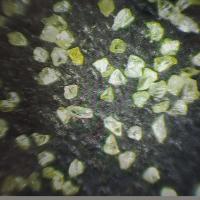China Synthetic Diamond Grinding Powder for Polishing Jewelry Xinrui Diamond Dust Powder for sale