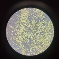 China Synthetic Diamond Grinding Powder for Polishing Jewelry Xinrui Diamond Dust Powder for sale