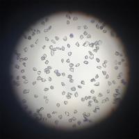 China Xinrui Diamond Powder High Heat Dissipation Rate and Natural Diamond Characteristics for sale