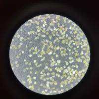 China Mbd Micron Diamond Powder Lapidary for Diamond Belts US Currency and 99.9% Purity for sale