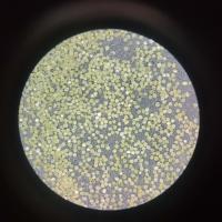 China Upgrade Your Glass Polishing Process with Xinrui Industrial Diamond Powder Grits for sale