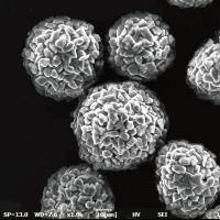 China Initial Payment Abd Aggregate Diamond Powder for Semiconductor Grinding and Polishing for sale