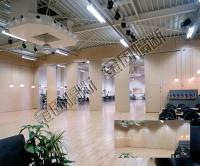 China Customization Banquet Hall Partition Wall Function Of Space Partition / Divide With Accessories And Track for sale