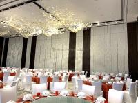 China WiigHirshman Acoustic Moveable Wall Partition with 43-50 dB Soundproofing and 2000-6000 mm Height Range for sale