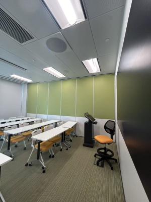 China Modern Style Decorative Partition Wall with Customized Design and Aluminum Alloy Frame Option for sale
