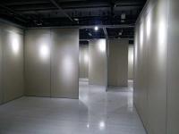 China Foldable Folding Partition Wall Fire Rating Class A Pass Door Selection Single Or Double Door for sale