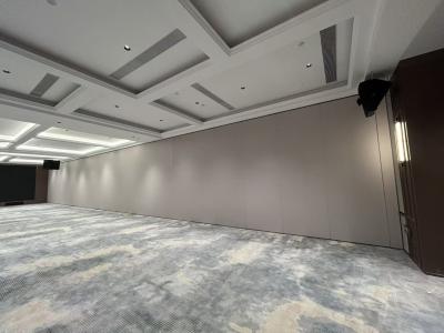 China Low Maintenance Wall Partition Panel with Select By Customer Surface Material Options for sale