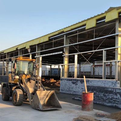 China 50 Years Life Span Steel Structure Warehouse with Glass Fiber Reinforced Plastics Skylight and ISO 9001 Certification for sale