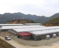 China Galvanized Prefabricated Steel Structure with Q355 Q235B Steel Grade for sale