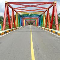 China Low Maintenance Iron Frame Bridge Designed for Bridge Building Ensuring Stability and Longevity in Construction Projects for sale