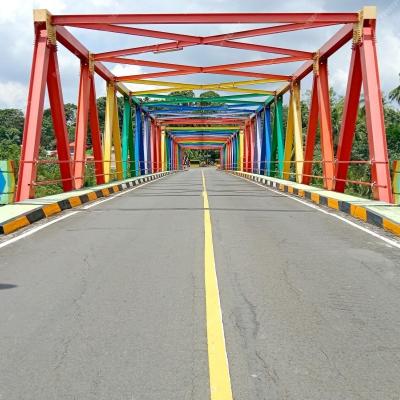 China Low Maintenance Iron Frame Bridge Designed for Bridge Building Ensuring Stability and Longevity in Construction Projects for sale