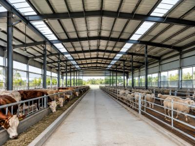 China Roof Live Load 035kn M2 Light Steel Structure Warehouse Steel Storage Building Durable and Solution for Industrial Storage Needs for sale