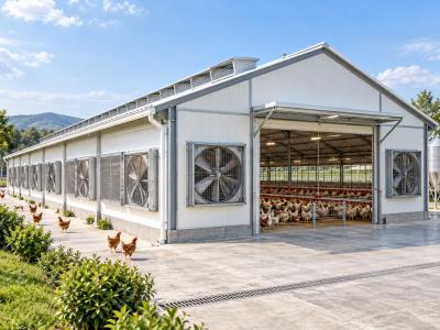 China Custom Design Prefabricated Steel Structure Building with Fire Resistance Up to 2 Hours and Recyclable Materials for sale