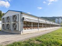 China Heavy Duty Fire Resistance Steel Structure Building with Customized Design and Prefabricated Assembly for sale