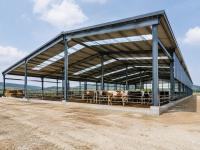China Prefabricated Steel Structure Building with Hot Rolled Technique for Fast Construction and Customizable Design for sale