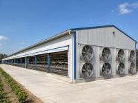 China High Earthquake Resistance Prefabricated Steel Building with Customized Design and Hot Dip Galvanizing for sale