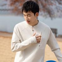 China Custom OEM Stand Collar Long Sleeve Tee Antibacterial Quick Dry 100% Polyester Luxury Grid Sport Shirt for sale