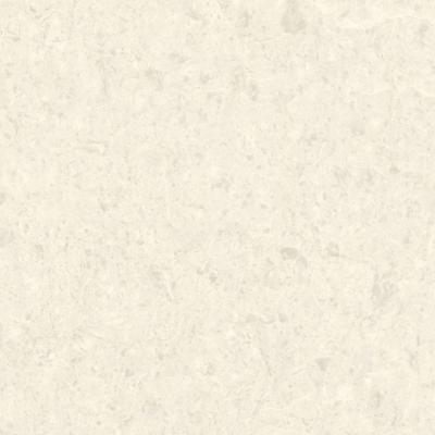 China Large White Porcelain Ceramic Wall Floor Tiles Modern Matt Stone Texture 600X1200mm for sale